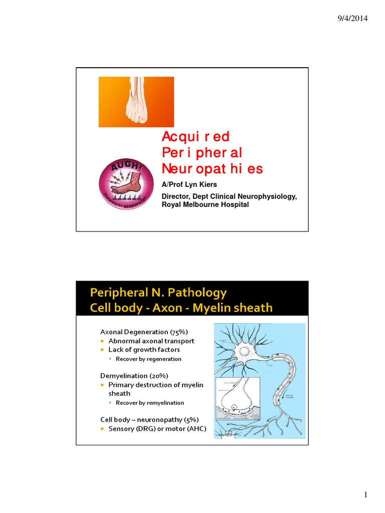 An Overview of Peripheral Neuropathies: Classification, Clinical ...