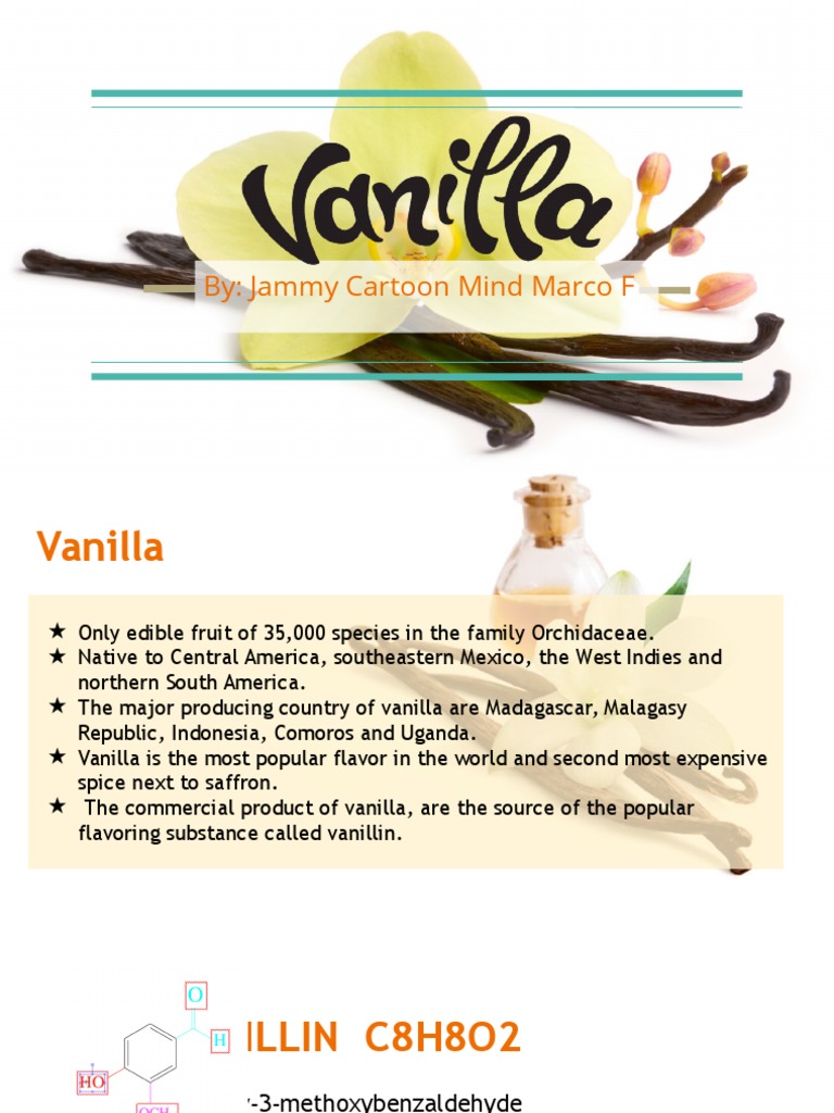 vanilla 1101 | Vanilla | Flavor