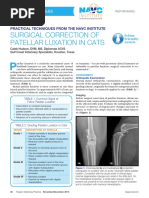 Feline Tarsal Injury Management | PDF | Anatomical Terms Of Location ...