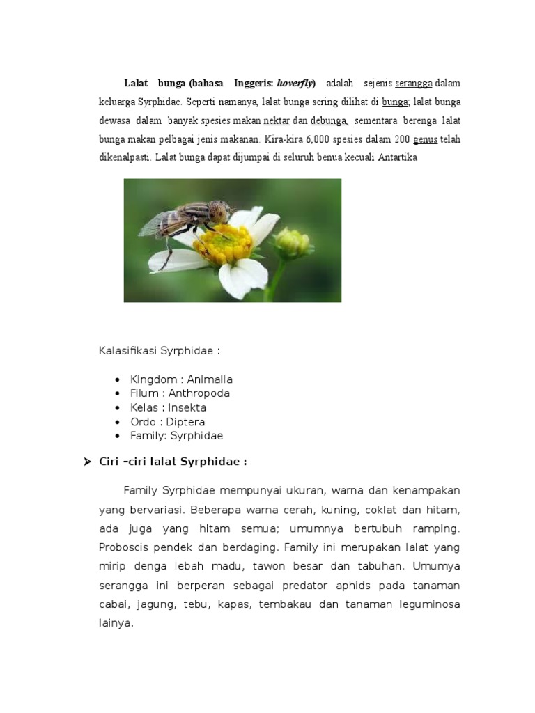 Lalat Bunga | PDF