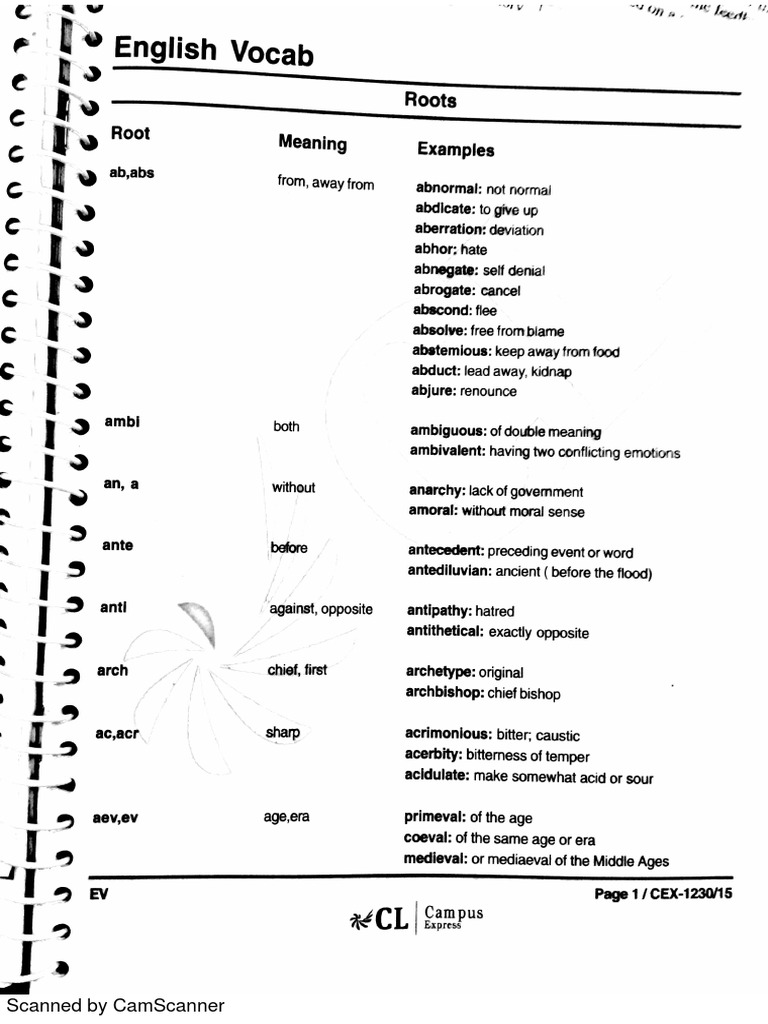 Root Words | PDF