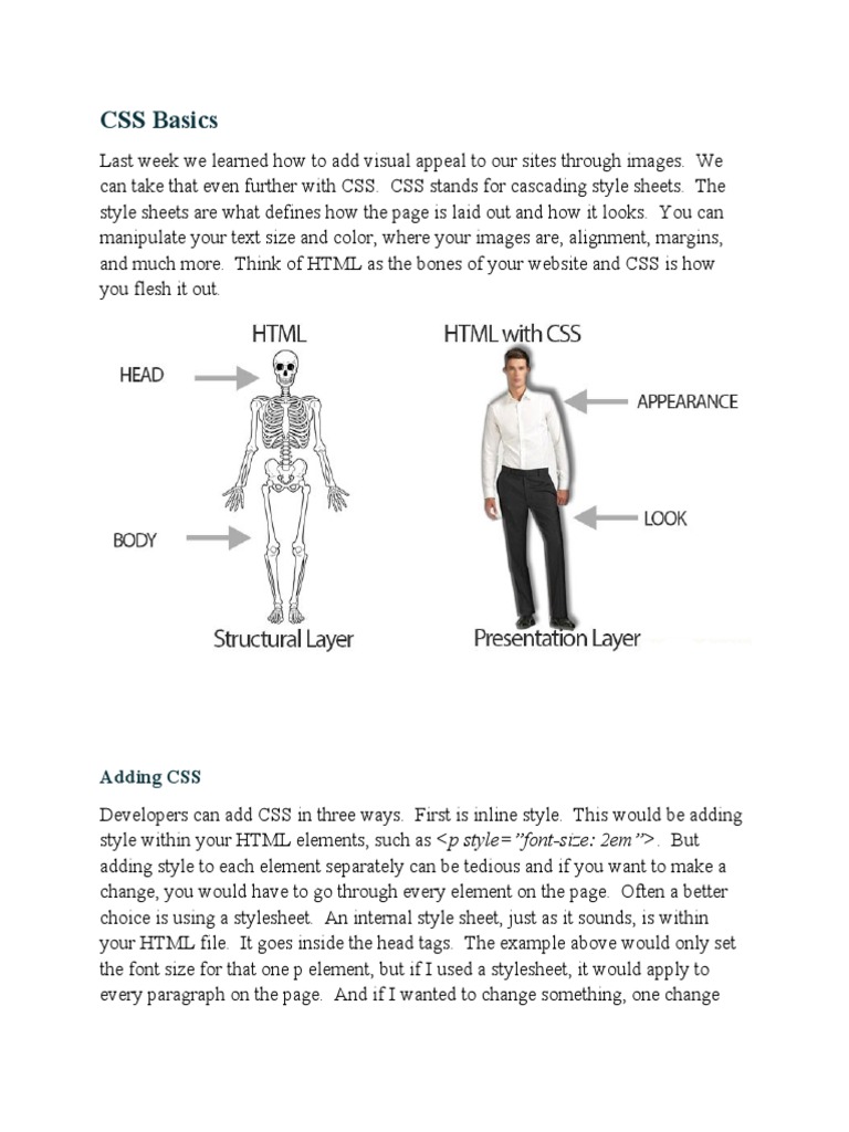 CS197 W4 Lecture | PDF | Cascading Style Sheets | Html Element CS197 W4 Lecture | PDF | Cascading Style Sheets | Html Element