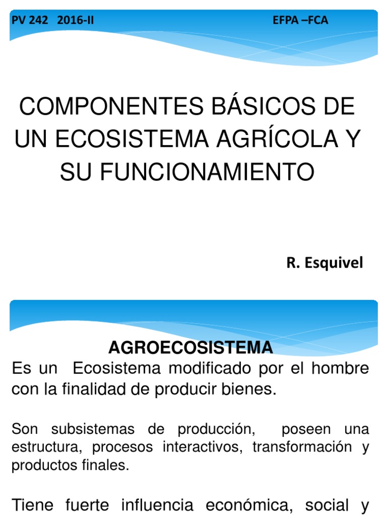 Componentes y Estructura del Agroecosistema | PDF | Ecosistema | Ecología