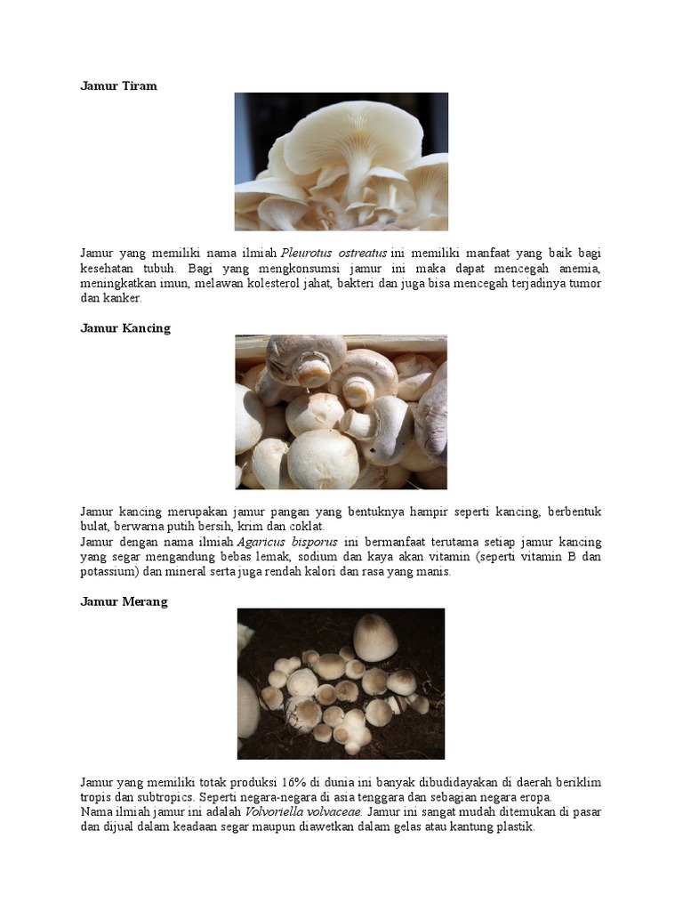 Jenis Jamur | PDF
