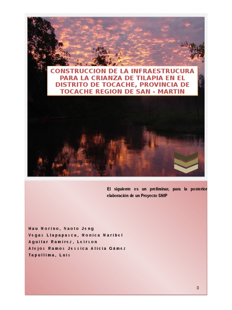 Proyecto Snip - Piscicultura Tocache | PDF | Calidad (comercial ...