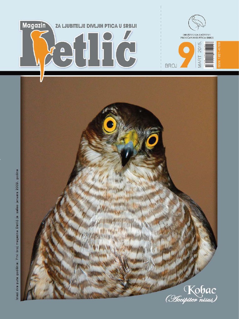 Detlic Br9 PDF | PDF