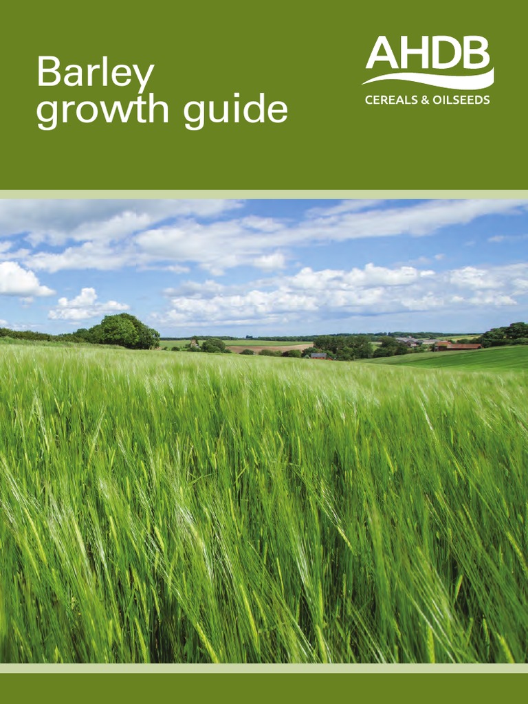 g67 Barley Growth Guide | PDF | Cereals | Seed