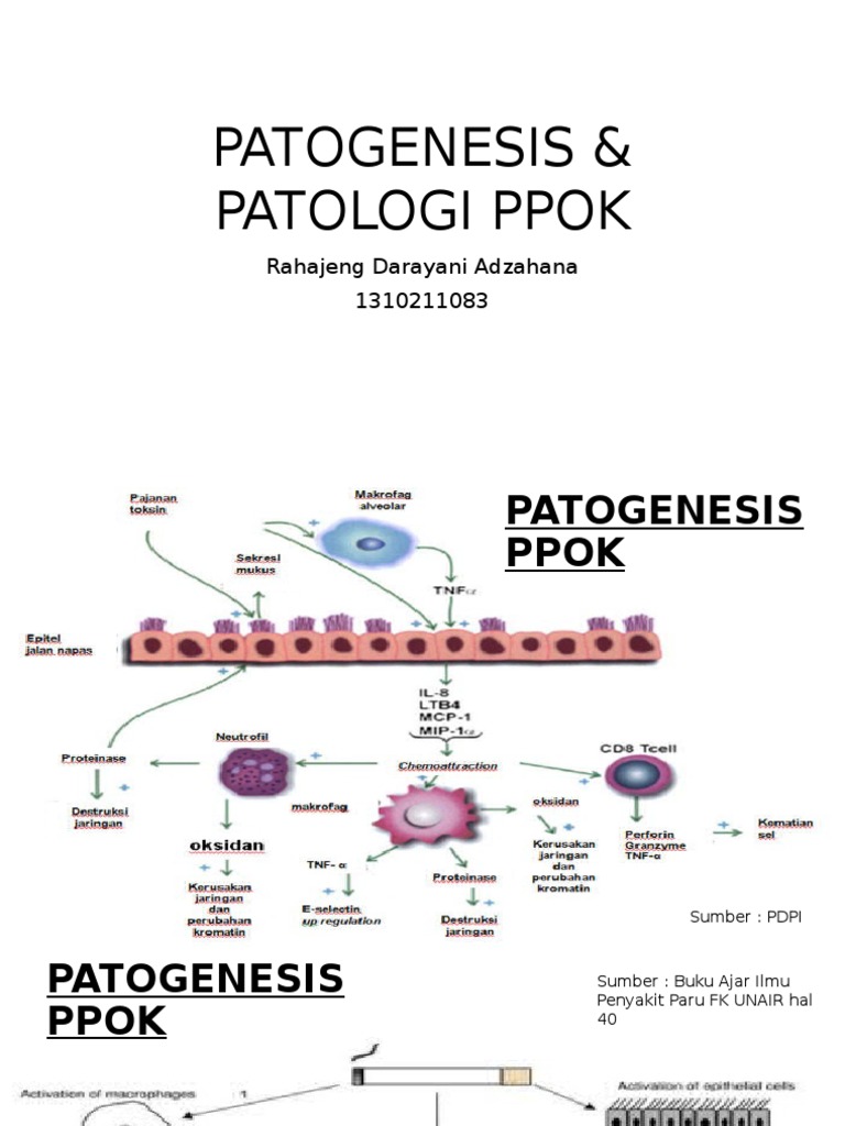 Patogenesis & Patologi Ppok | PDF