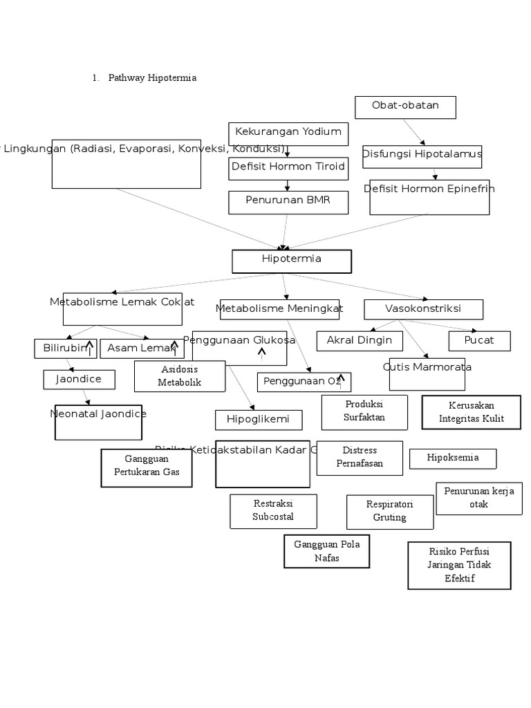 Pathway Hipotermia | PDF