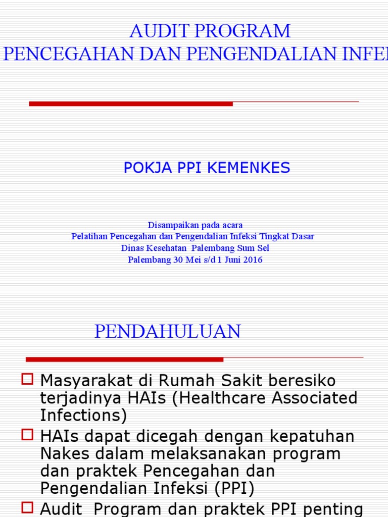 Audit Ppi | PDF