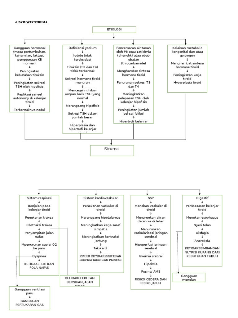 Pathway Struma | PDF