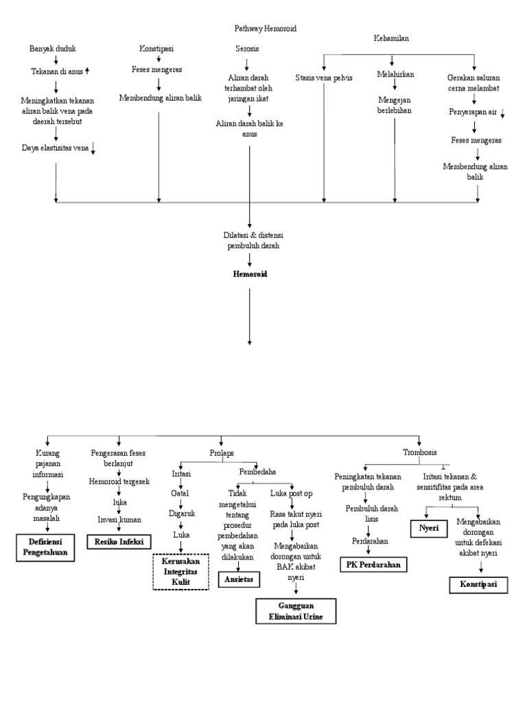 Pathway Hemoroid | PDF