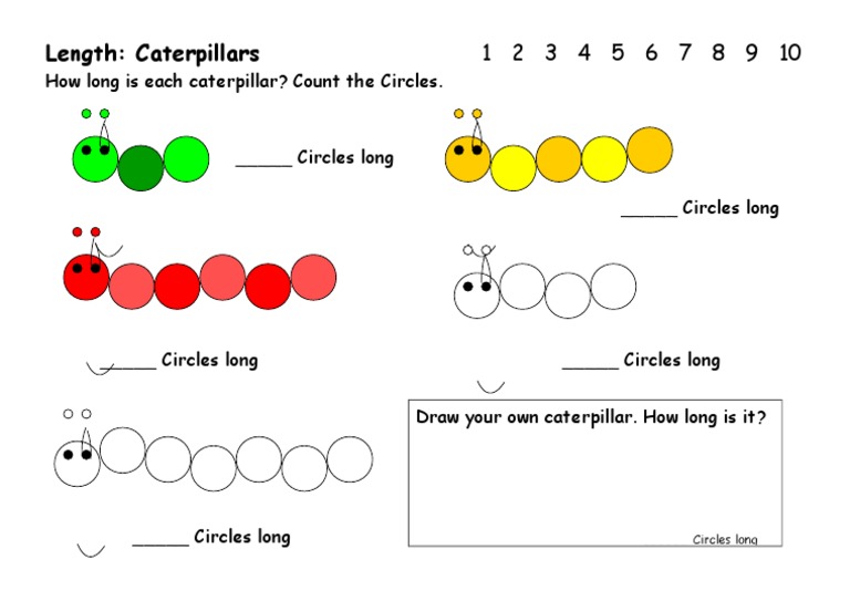 Caterpillar Length Measurement Guide | PDF | Teaching Methods ...