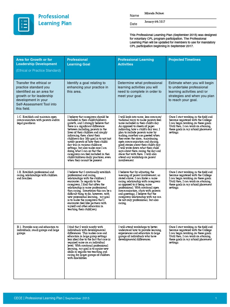 Professional Learning Plan Overview | PDF | Child Care | Relationships