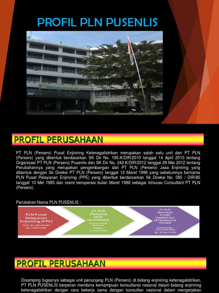 Profil PLN Pusenlis | PDF
