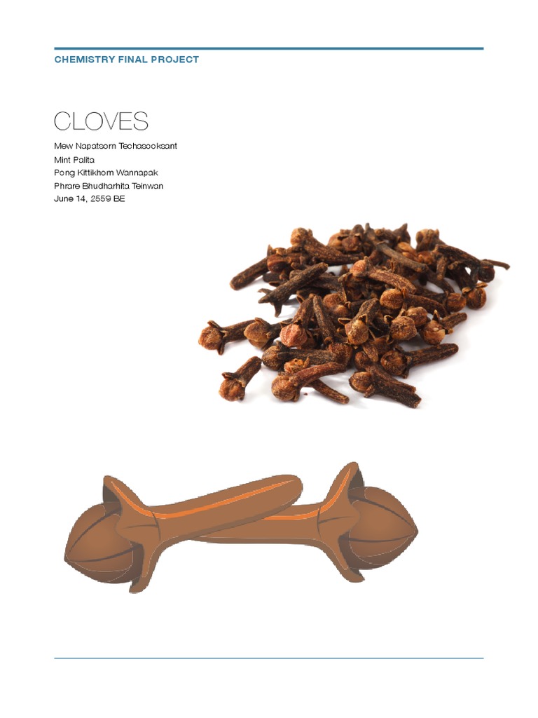 Cloves | PDF | Clove | Chemical Substances