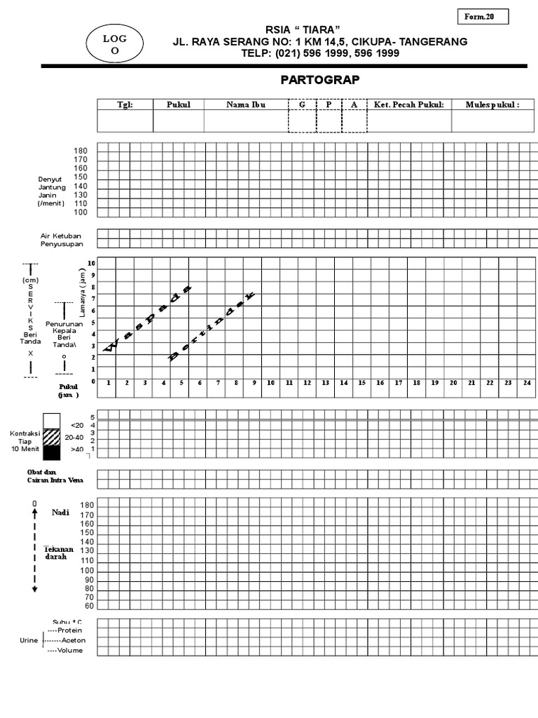 Form 17 Partograph | PDF