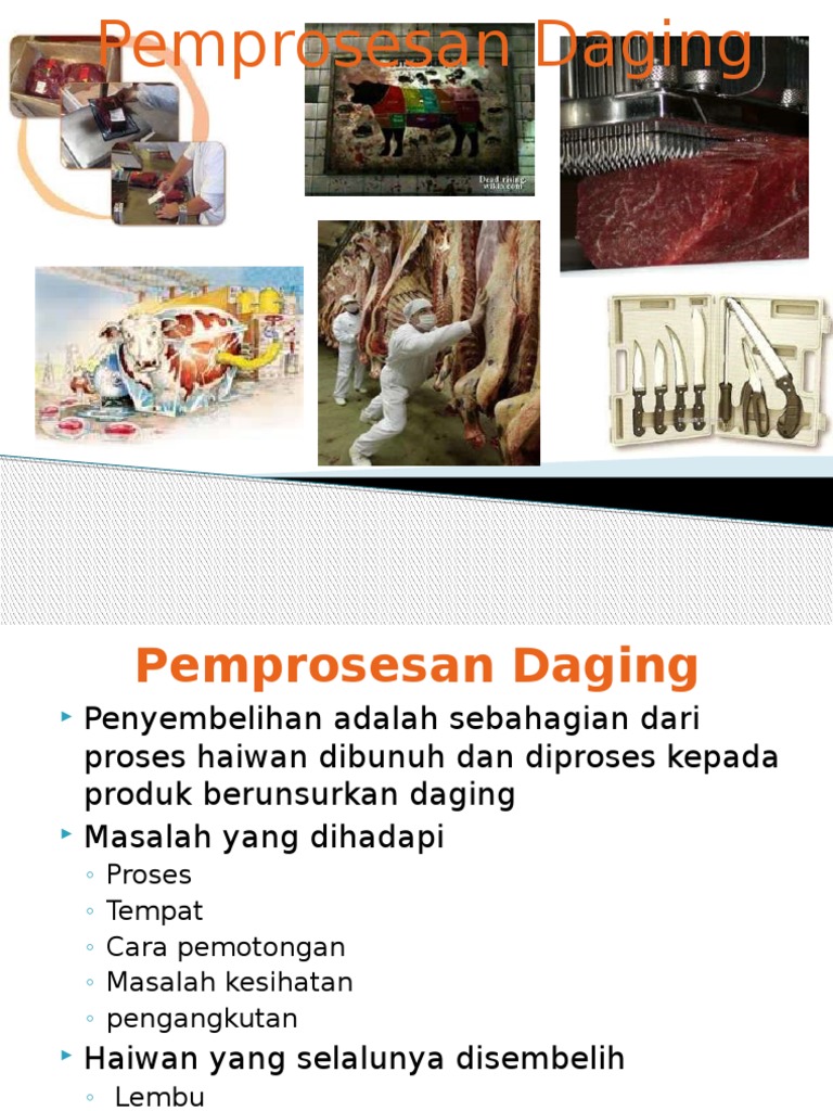 4 Pemprosesan Makanan (Daging) | PDF