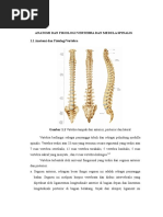 Anatomi Dan Fisiologi Vertebrae Cervical | PDF