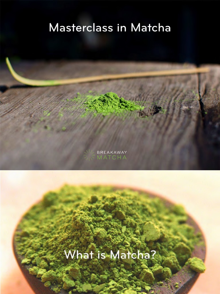 Masterclass in Matcha: A Guide to World-Class Matcha | PDF | Caffeine ...