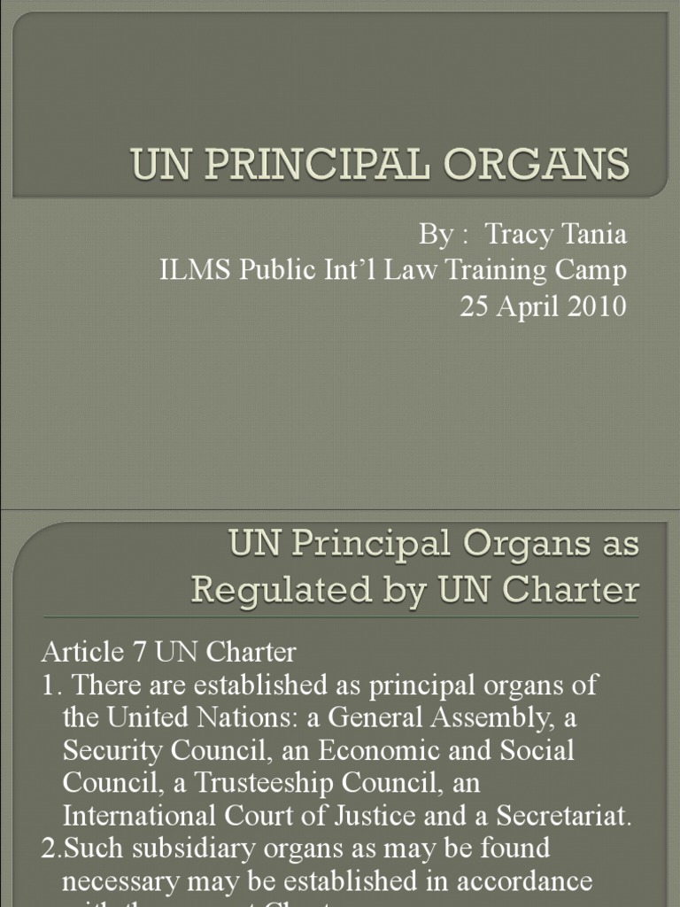 UN Principal Organs | PDF | United Nations | International Relations