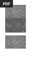 Autoclave Loading Pattern For Rubber Stopper | PDF