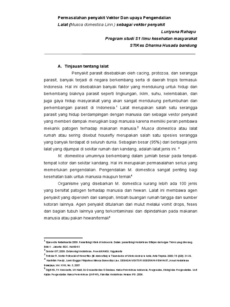 Pengendalian Vektor Lalat | PDF