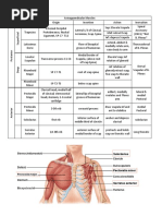 Anatomy Mnemonics for Skull and Face | PDF | Skull | Common Carotid Artery