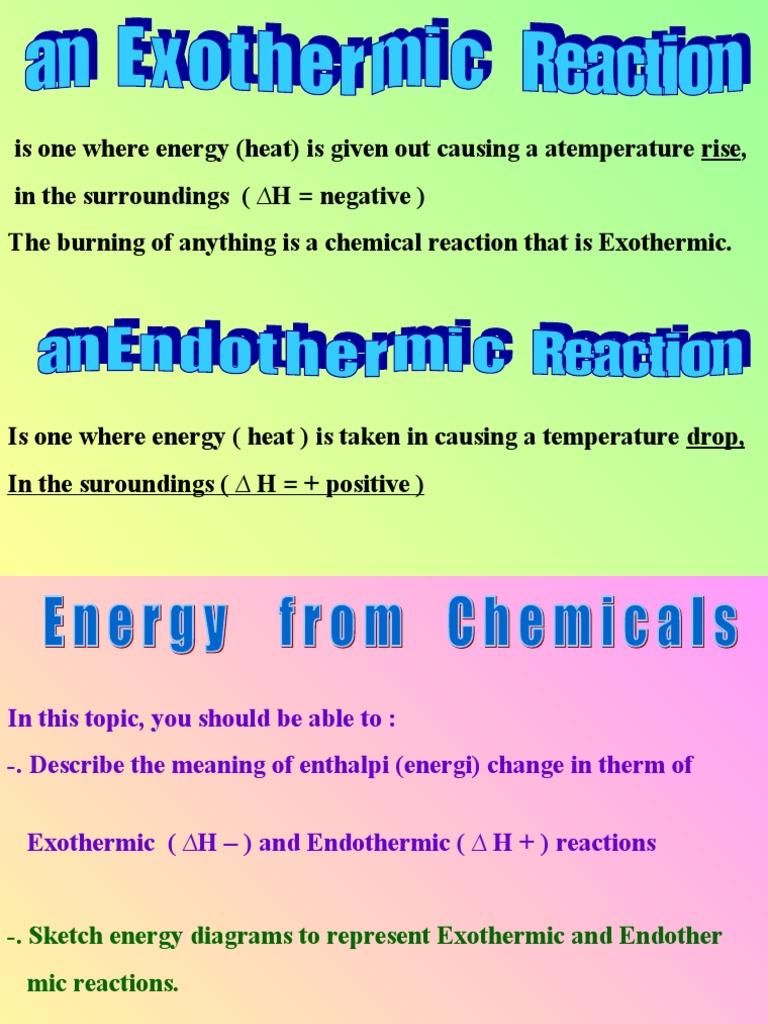 Exoterm Endoterm | PDF