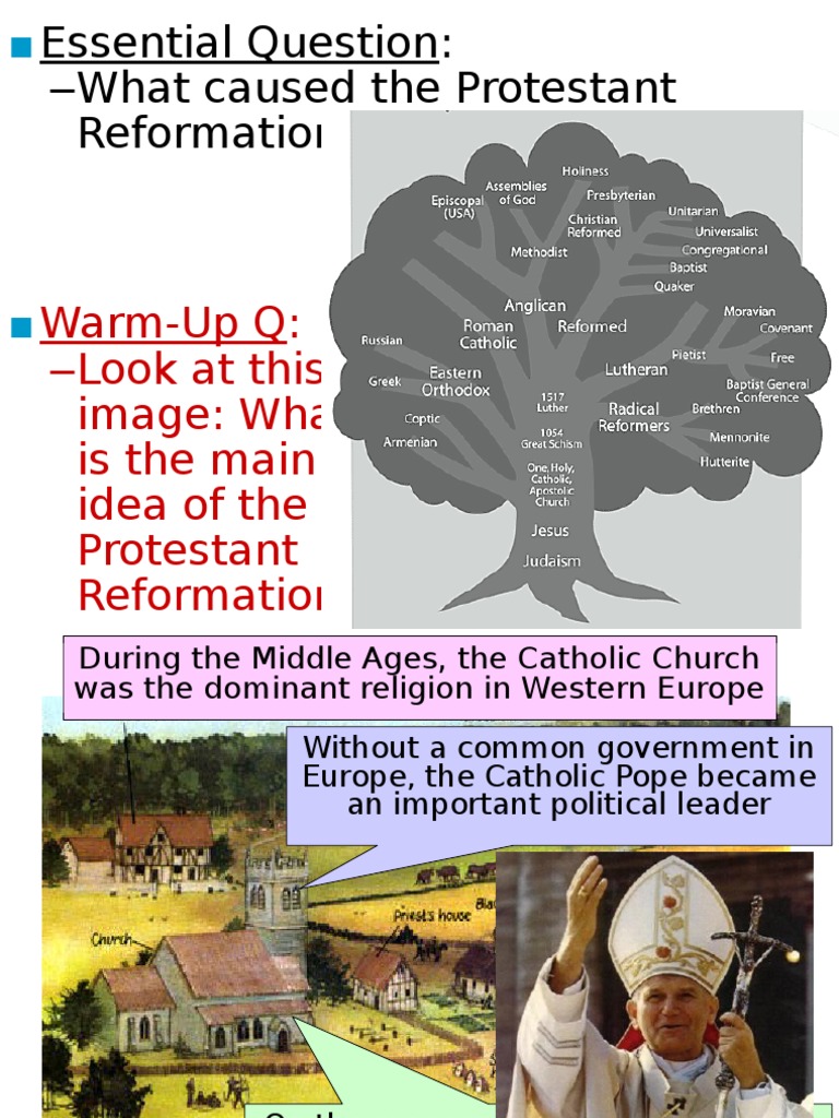 The Protestant Reformation | PDF | Martin Luther | Catholic Church