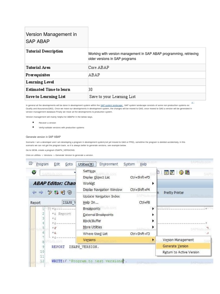 Version Management in SAP ABAP | PDF