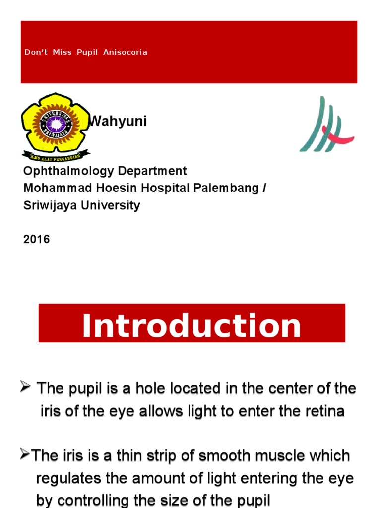 Pupil Anisokor Dr. Devi Edit | PDF | Animal Anatomy | Nervous System