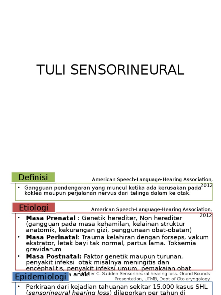Tuli Sensorineural | PDF