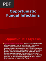 Fungal Classification | PDF | Fungus | Microbiology