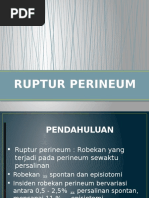 Teknik Reparasi Robekan Perineum Derajat III - IV | PDF