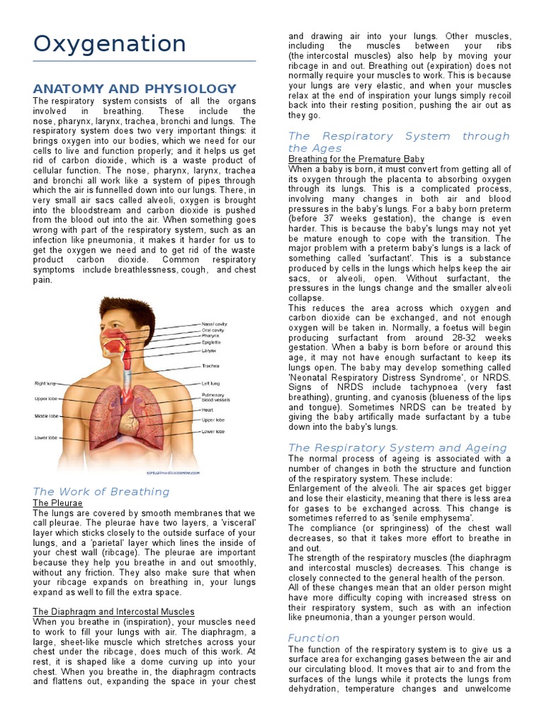 Oxygenation: Anatomy and Physiology | Download Free PDF | Respiratory Tract | Lung