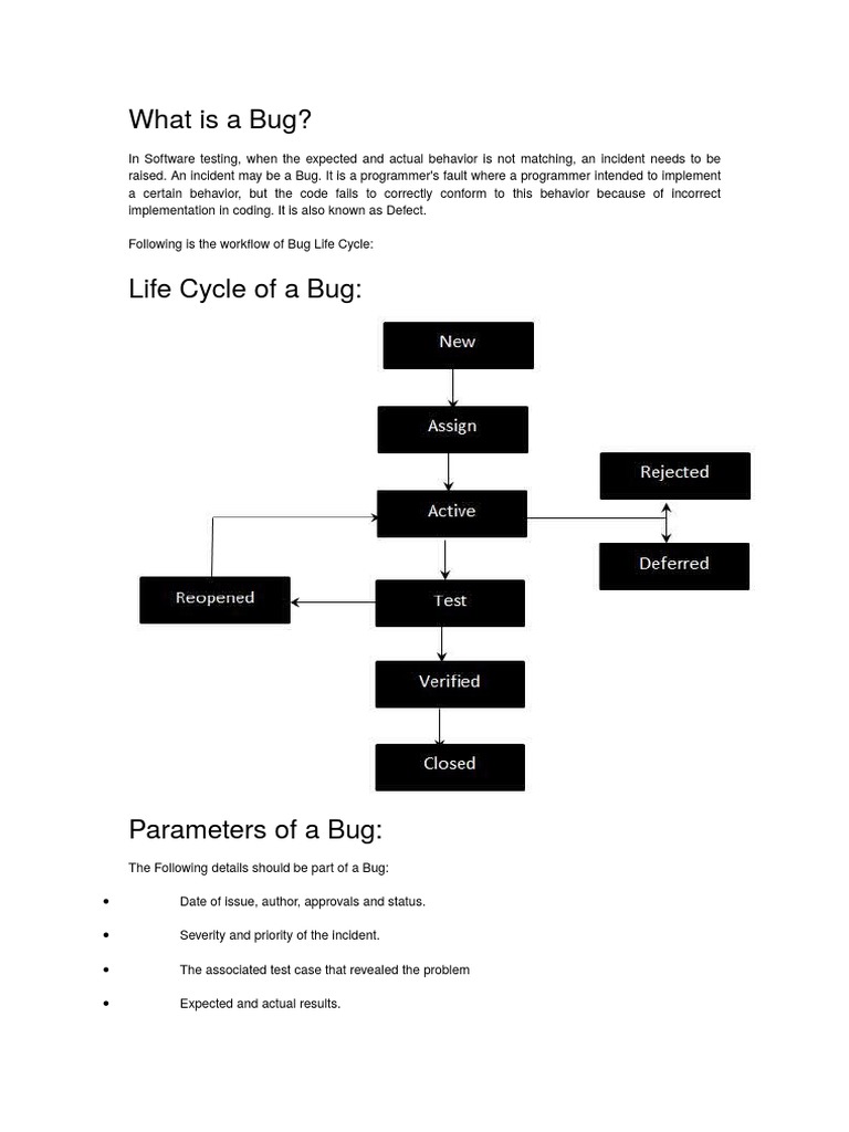 What Is A Bug | PDF