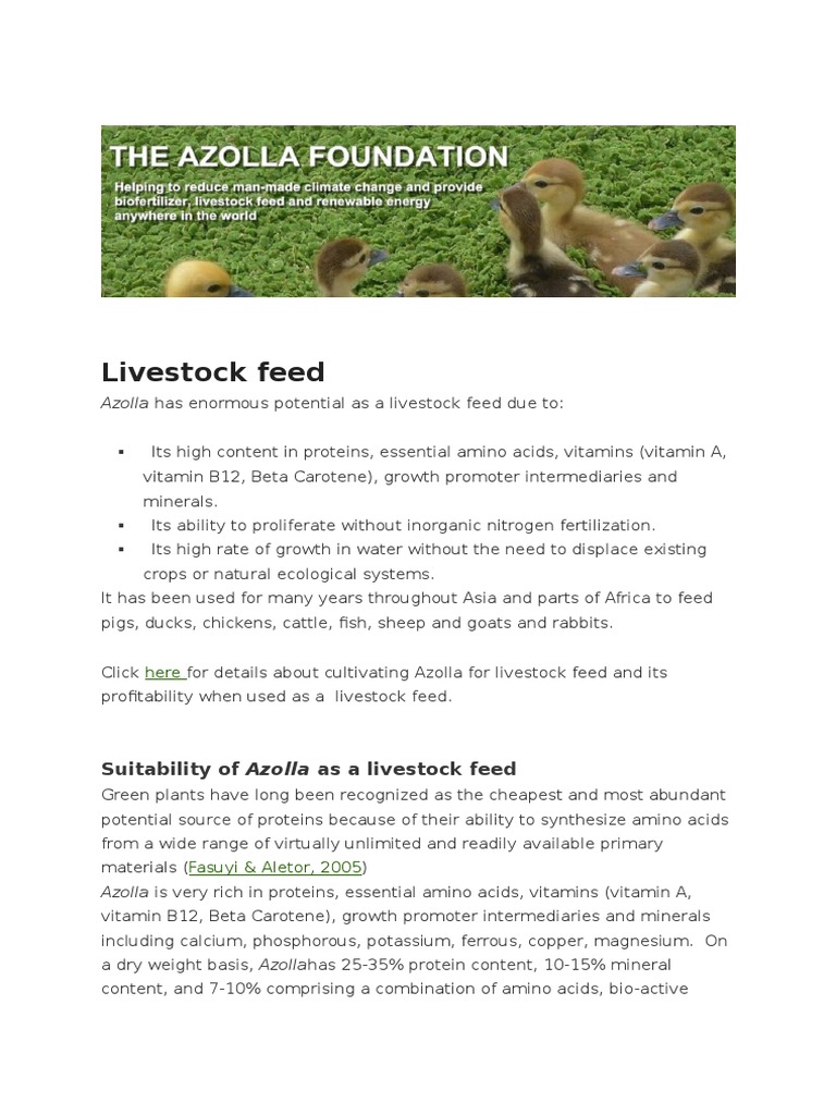 Azolla FoundationLivestock Feed | PDF | Soybean | Poultry