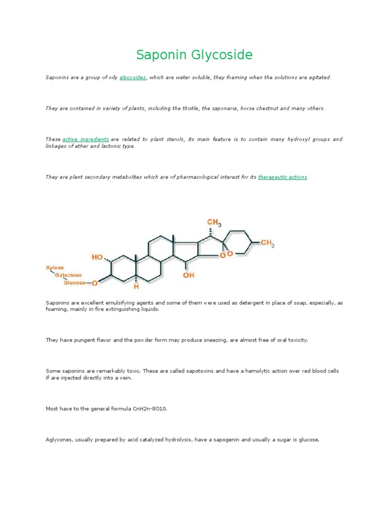 Saponin Glycoside: Glycosides | PDF | Chemical Compounds | Organic Compounds