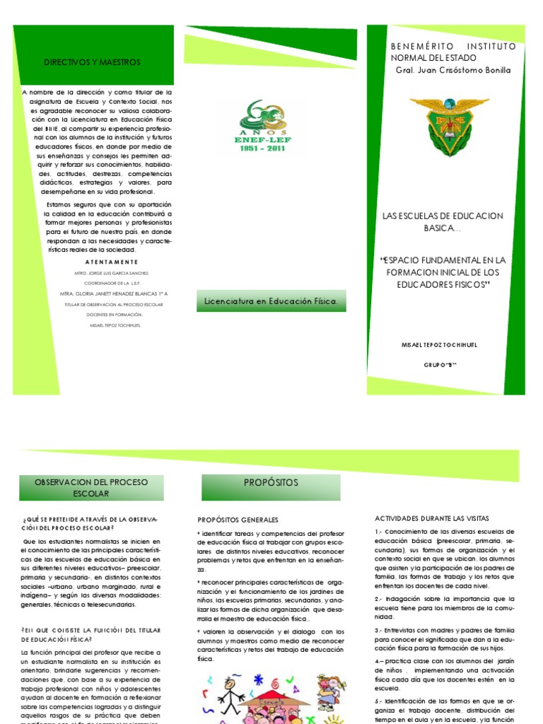 3 Triptico PROCESO ESCOLAR PDF | PDF | Educación primaria | Educación ...