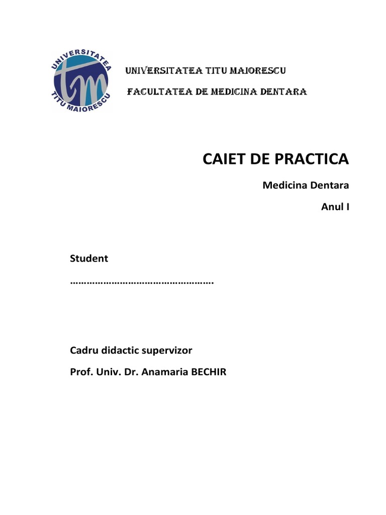 Caiet Practica | PDF