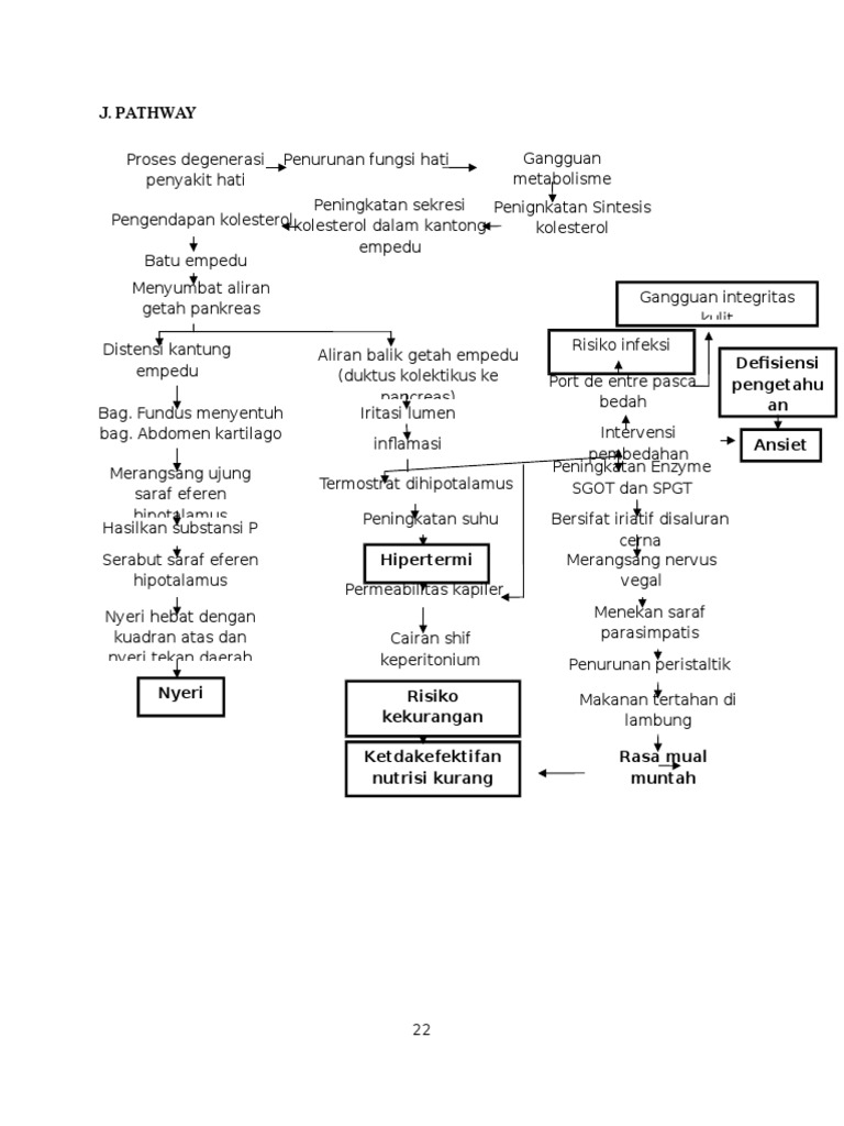 PATHWAY KOLELITIASIS