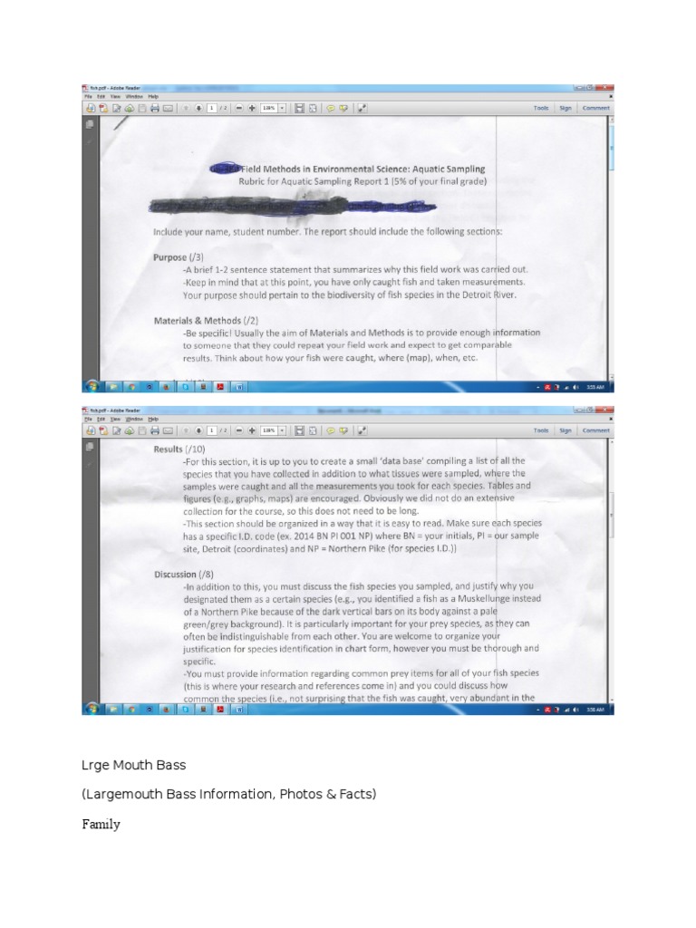 Family: Lrge Mouth Bass (Largemouth Bass Information, Photos & Facts ...