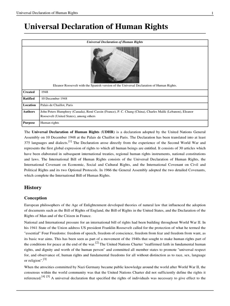 Universal Declaration of Human Rights Overview | PDF