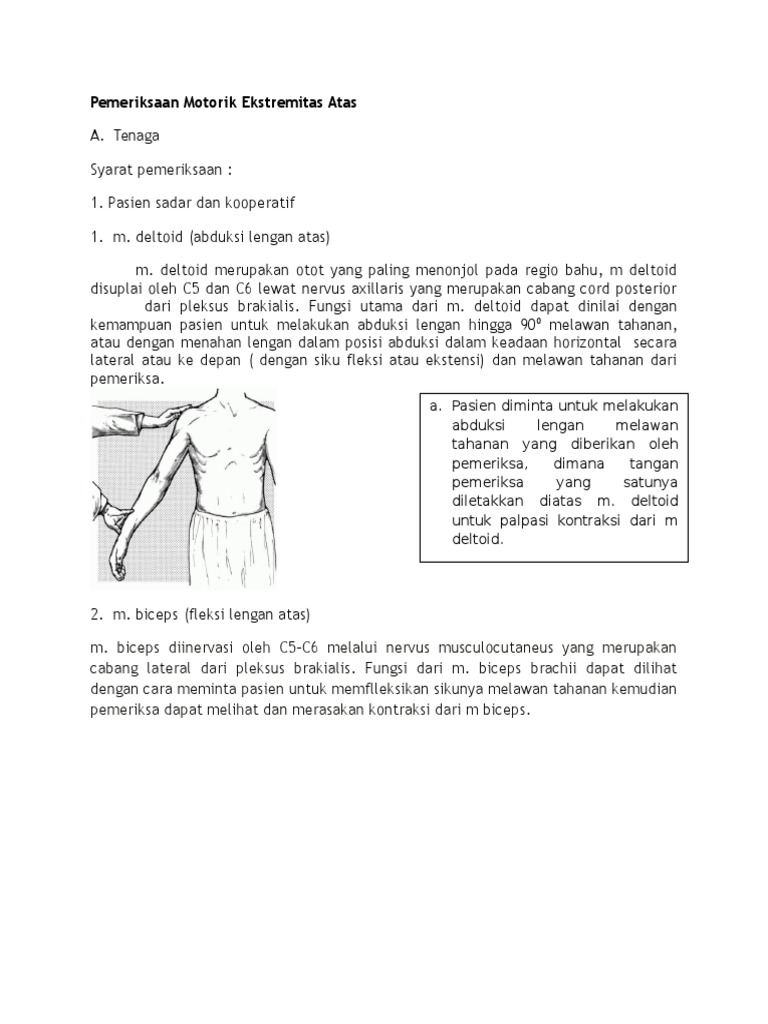 Pemeriksaan Motorik Ekstremitas Atas | PDF | Kesehatan Holistik | Sains ...