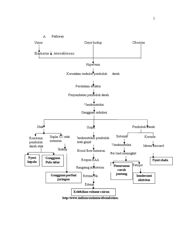 Pathway Hipertensi | PDF