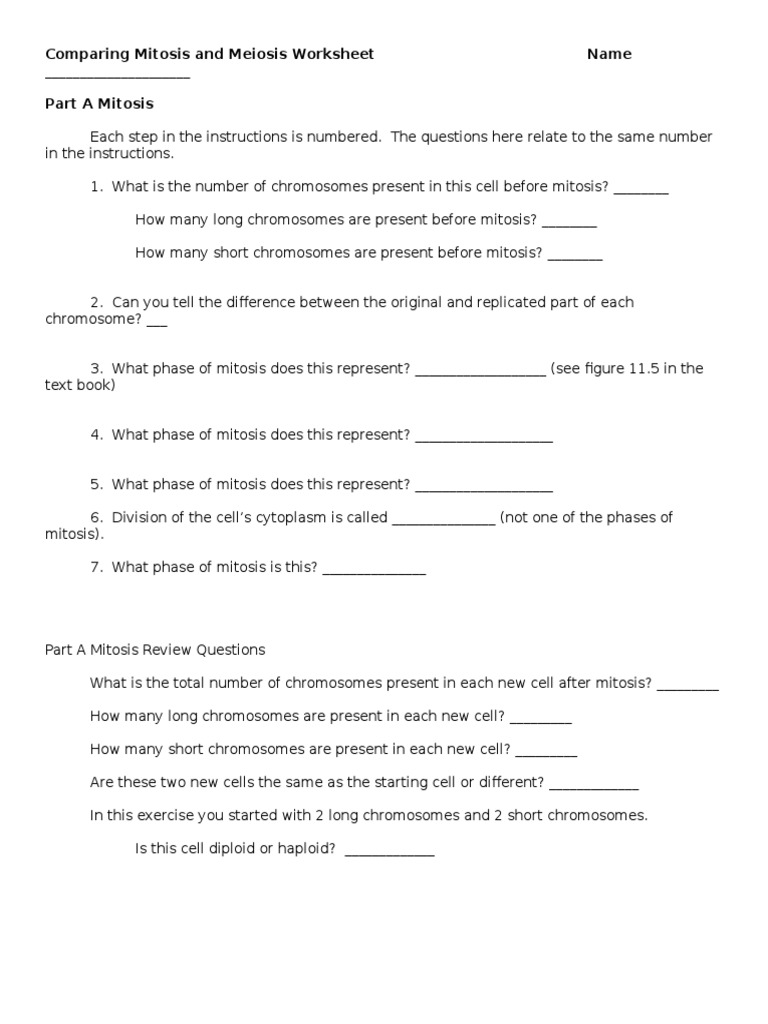 Bio Lab 15 Comparing Mitosis and Meiosis Worksheet | PDF | Meiosis ...