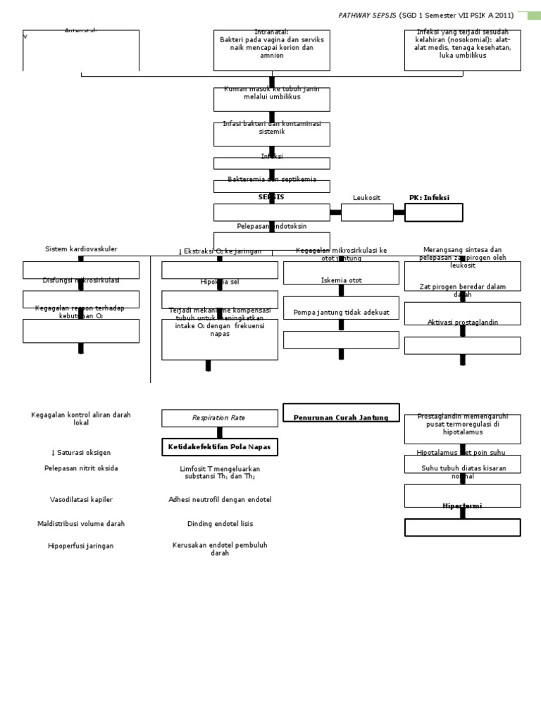 WOC Pathway Sepsis | PDF