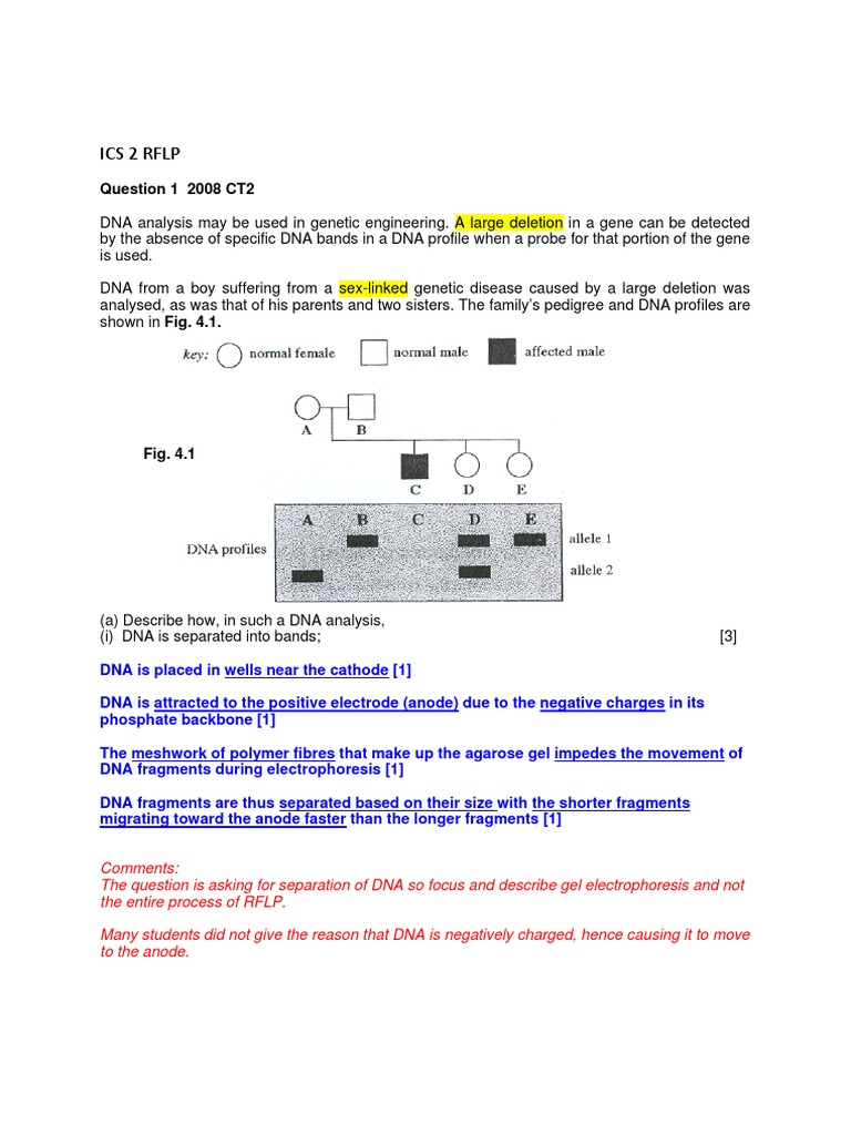 h2 Mathematics Summarized Formulae3 | PDF | Microsatellite | Primer ...