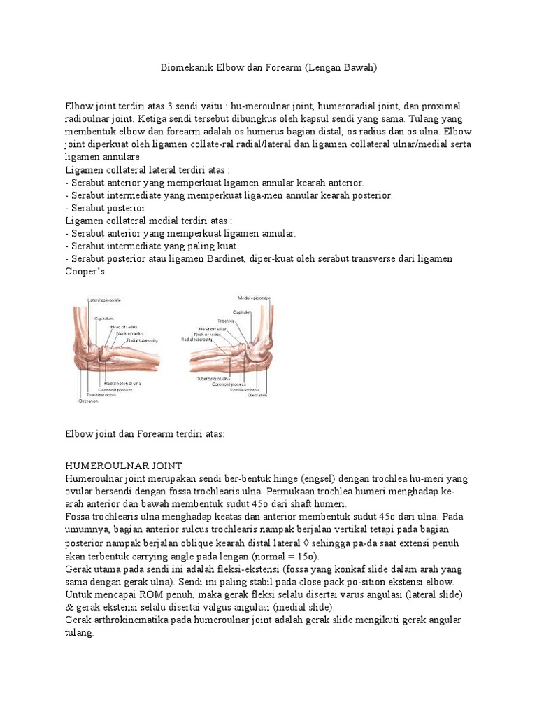 Anatomi Elbow | PDF